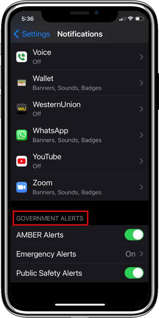 How to Turn Off Emergency Alerts on iPhone (iOS 15 Update) - AvoidErrors